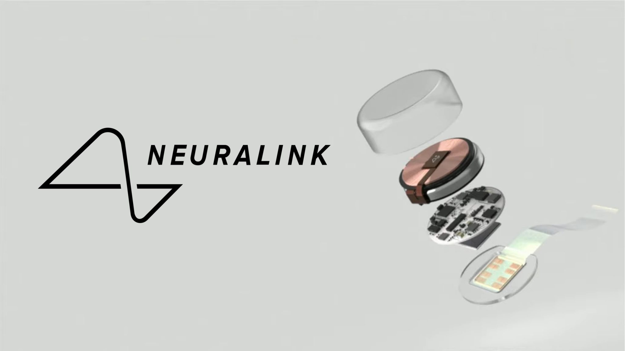 Neuralink се оптива да бъде като Fitbit за мозъка - TechTrends България